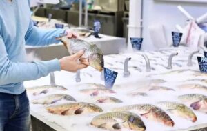 Cold Storage Refrigeration - Condensing Unit and Refrigeration Unit ...