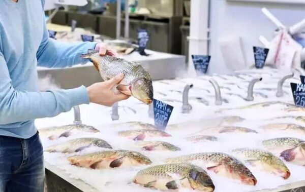 Cold Storage Refrigeration - Condensing Unit and Refrigeration Unit ...